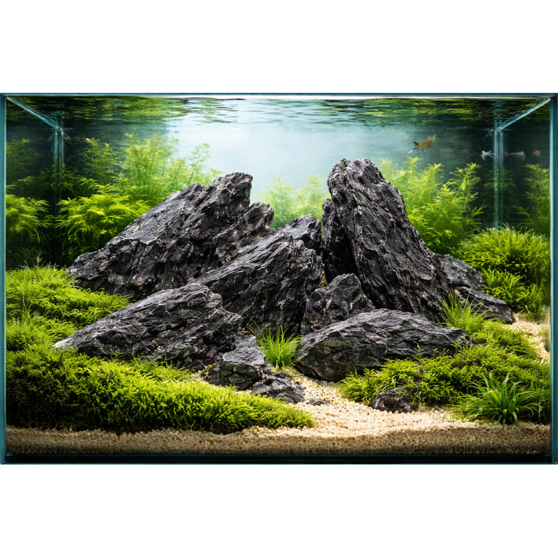 Pierres d’aquascaping – Roches naturelles pour aquarium Dark Landscape ...