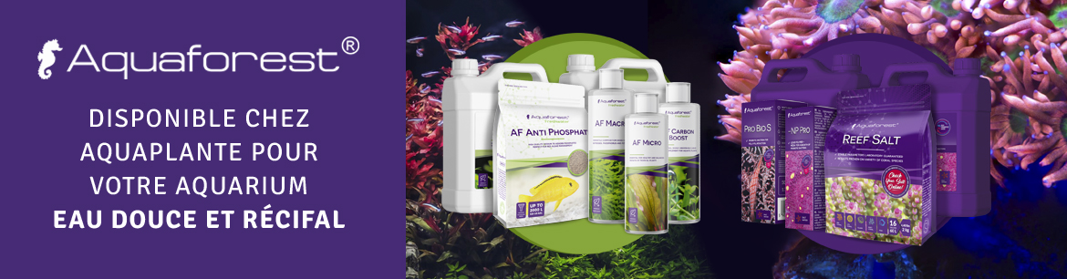 Aquaplante : Plantes Aquarium & matériel Aquarium : Pompe, Filtre ...