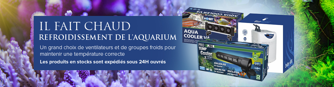 Aquaplante : Plantes Aquarium & matériel Aquarium : Pompe, Filtre ...